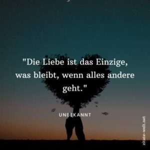 80+ Zitate über Liebe | zitate-welt.net